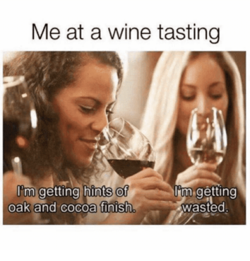 30+ Funny Wine Memes That Pair Perfectly With Anyone Who Loves Wine
