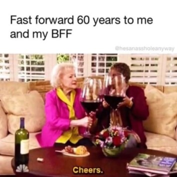 30+ Funny Wine Memes That Pair Perfectly With Anyone Who Loves Wine