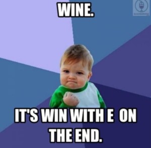 30+ Funny Wine Memes That Pair Perfectly With Anyone Who Loves Wine