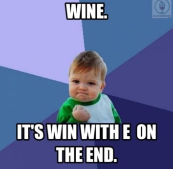 30+ Funny Wine Memes That Pair Perfectly With Anyone Who Loves Wine