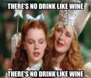 30+ Funny Wine Memes That Pair Perfectly With Anyone Who Loves Wine