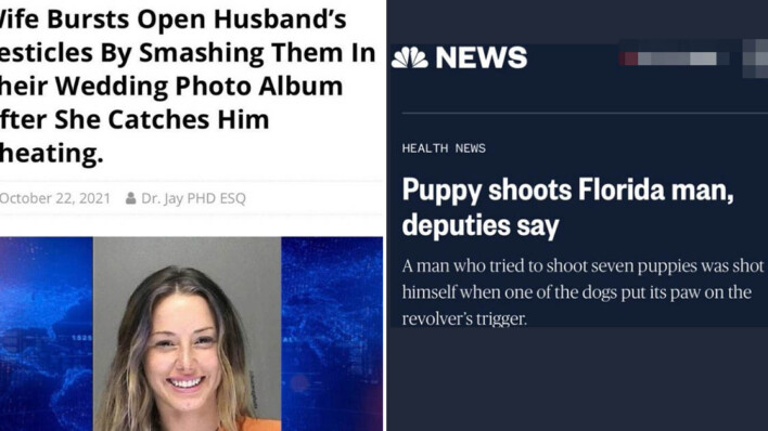 Funny on Ruin My Week | Hilarious Pictures, Tweets, Memes and more!