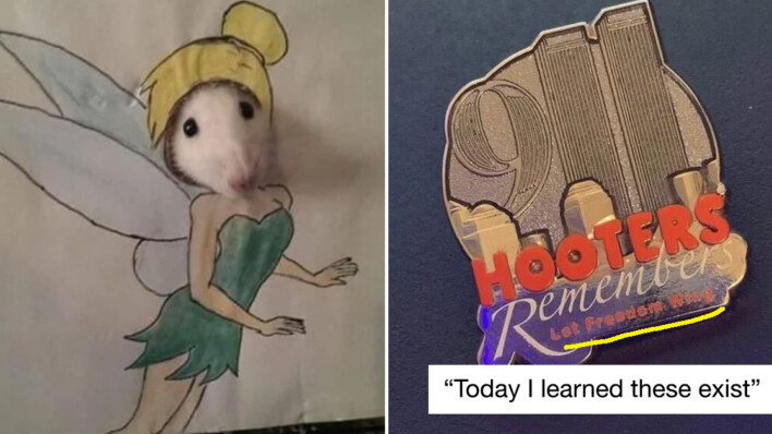 Funny on Ruin My Week | Hilarious Pictures, Tweets, Memes and more!