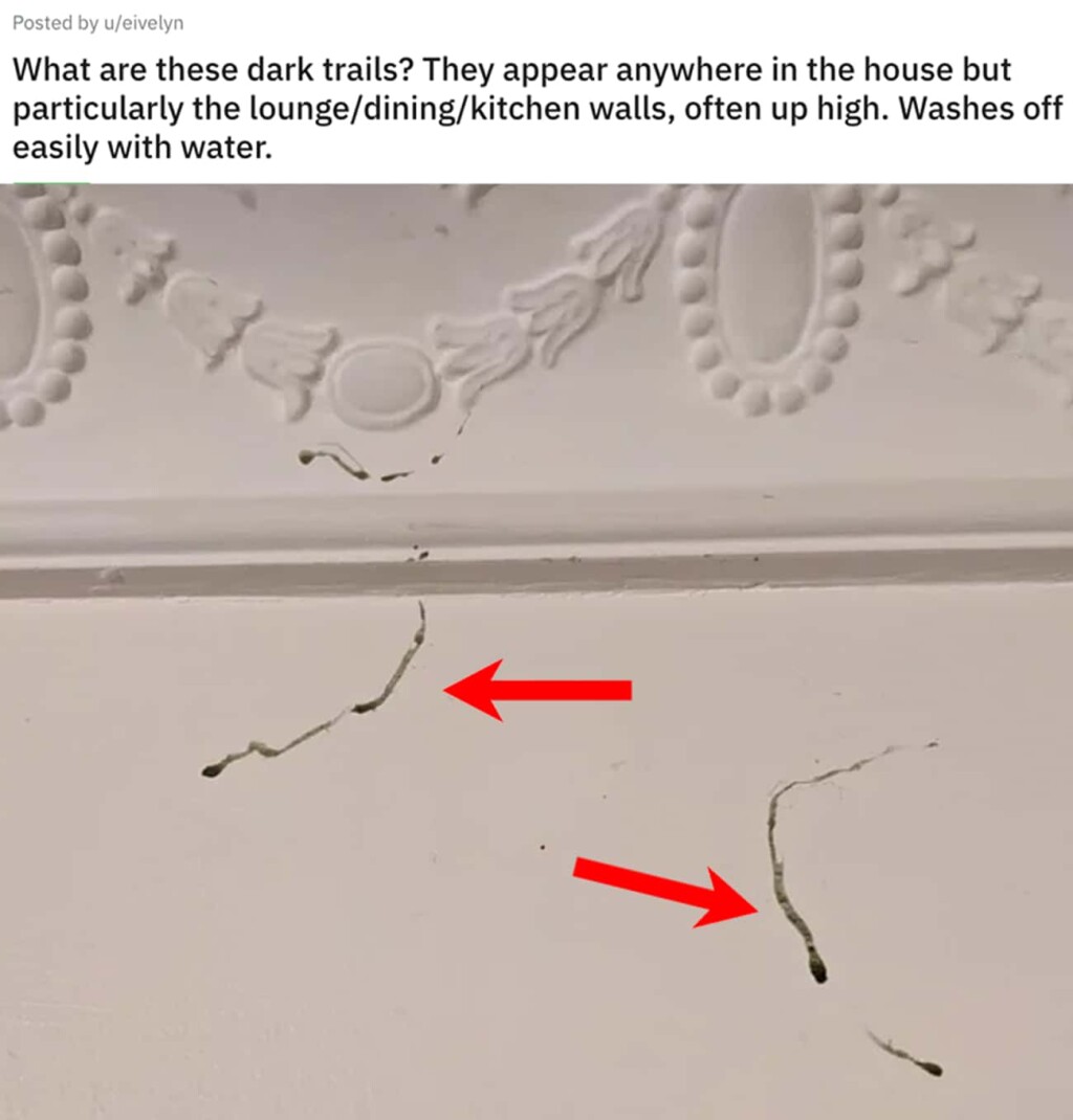 20+ Times People Asked The Internet "What Is This Thing?" And The ...