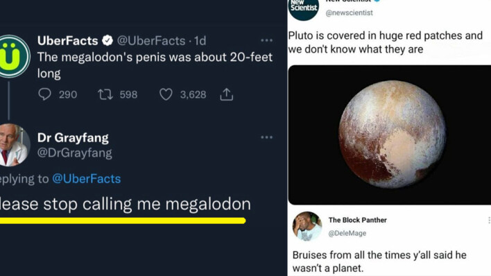 Funny on Ruin My Week | Hilarious Pictures, Tweets, Memes and more!