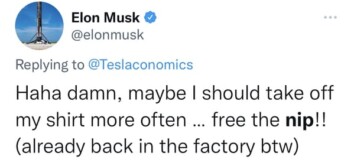 Twitter Reacts To Vacation Photos Of A Pale Elon Musk