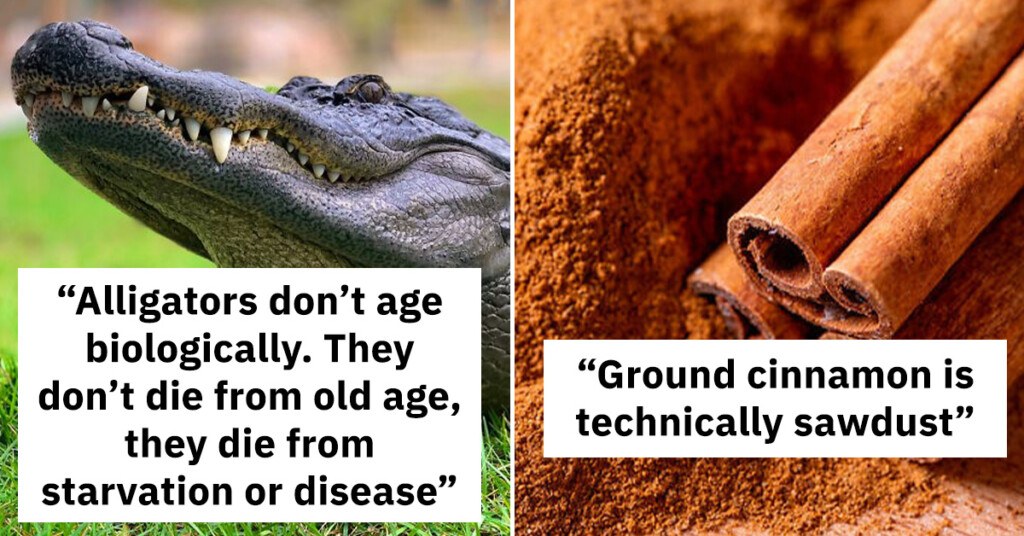 25 "Fun Facts" That Nobody Asked For