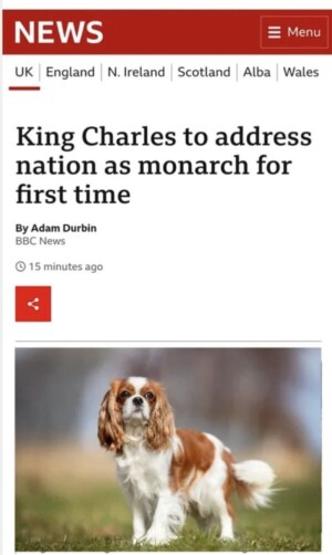 New King Just Dropped — Here Are The Funniest King Charles III Memes ...