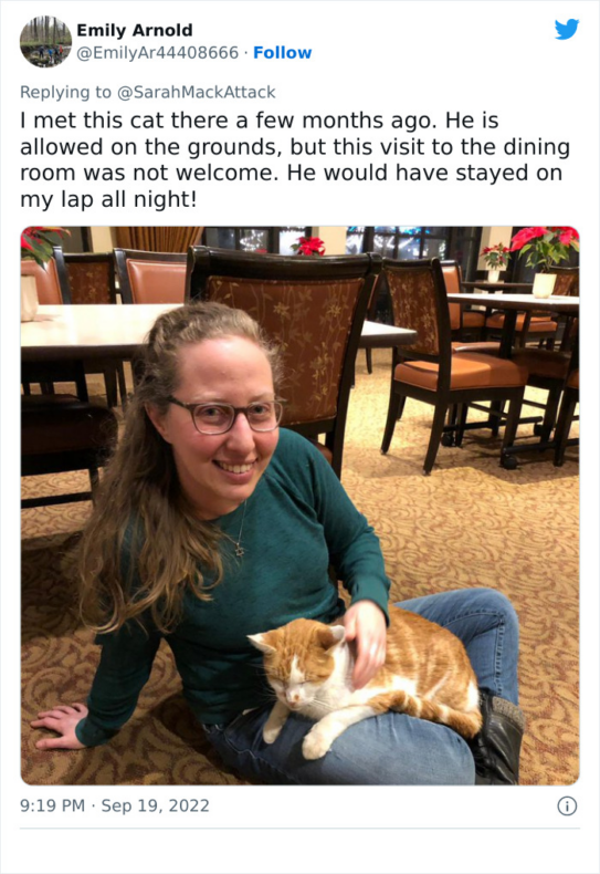 A Botanical Garden's Designated Cat Goes Viral On Twitter After She Was ...