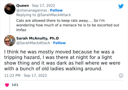 A Botanical Garden's Designated Cat Goes Viral On Twitter After She Was ...