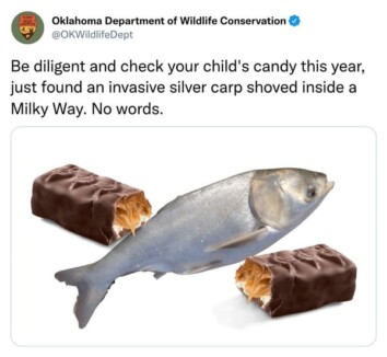 Viral Meme Reminds Parents To Check Their Child's Halloween Candy (17 ...