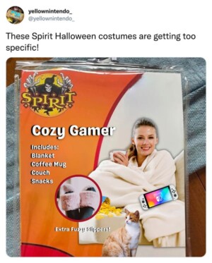 Fake Spirit Halloween Costumes Are Better Than Any Real Costume (21 Memes)
