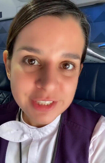 TikToker Reveals "Secrets" About Being A Flight Attendant That ...