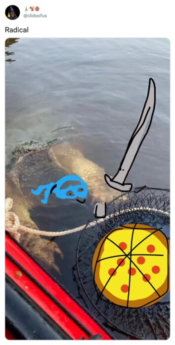 Twitter Reacts To Size Of Giant Snapping Turtle Spotted In Minnesota ... Twitter Reacts To Size Of Giant Snapping Turtle Spotted In Minnesota ...