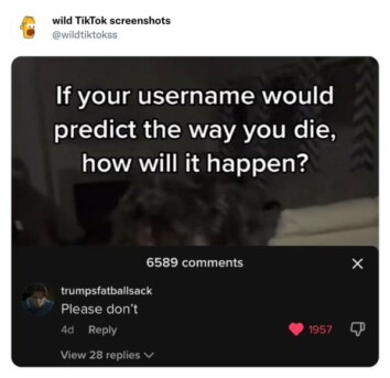 This Account Shares Wild TikTok Screenshots And They Are Unhinged (35 Pics)