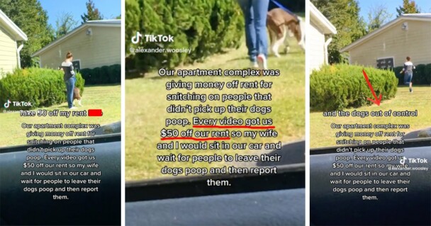 'One month we paid our $650 rent in poop videos' — Couple Pays Rent By ...