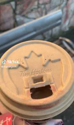 'I might hate this more than paper straws' — Tim Horton's Customer ...