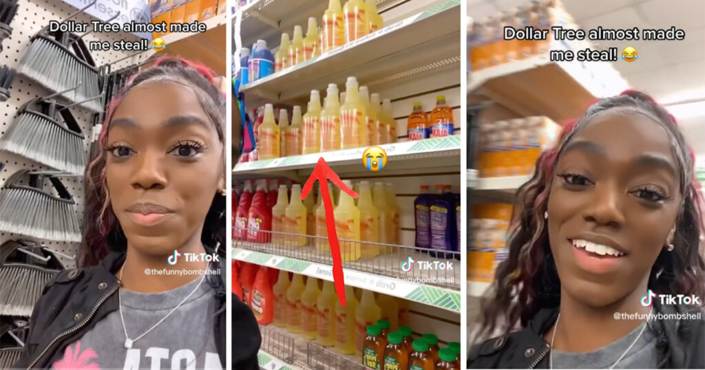 Customer Calls Out Dollar Tree For Selling Whole Cleaning Products As ...