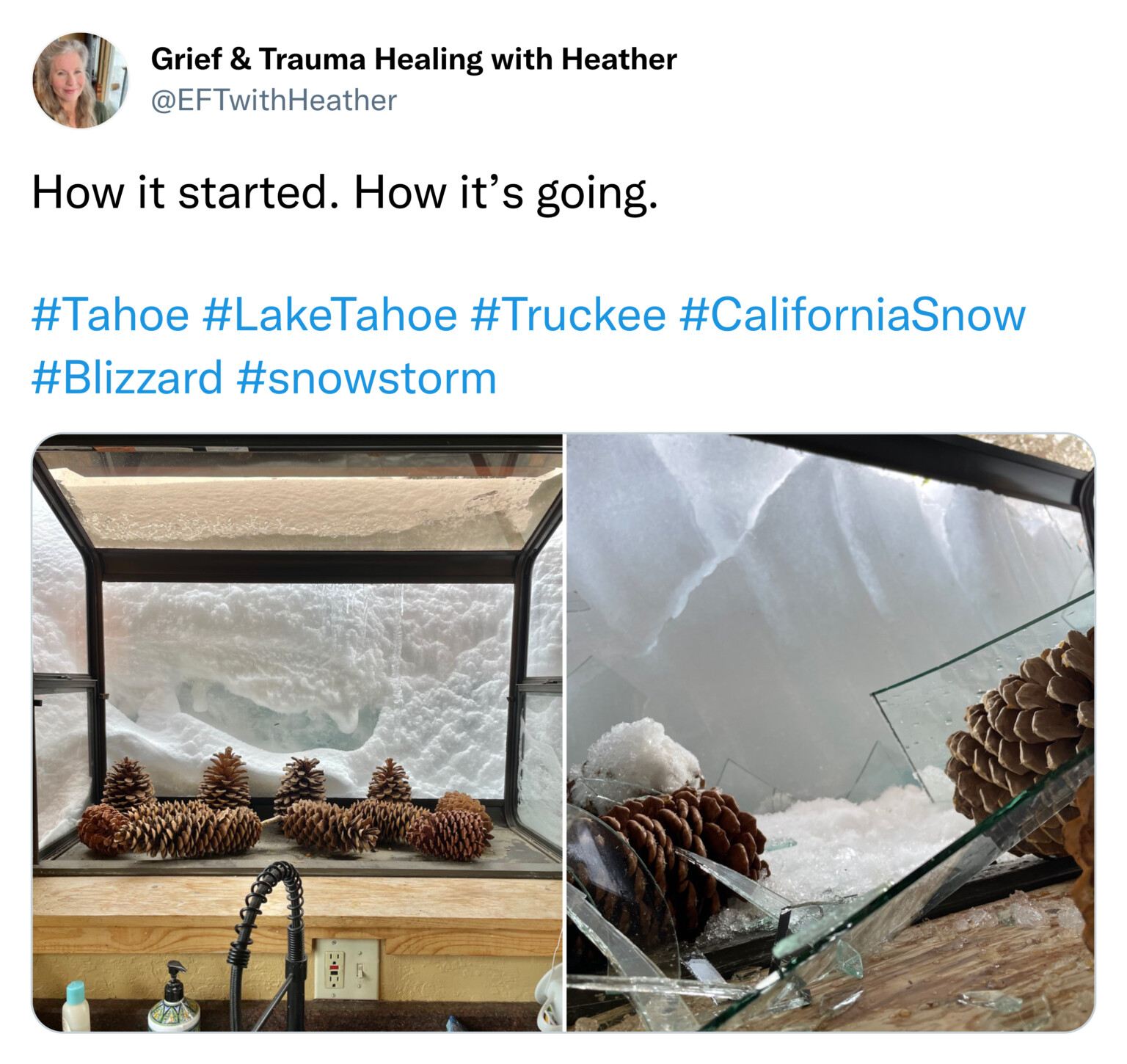 29 Unbelievable Pictures What 15 Feet Of Snow Looks Like In California ...