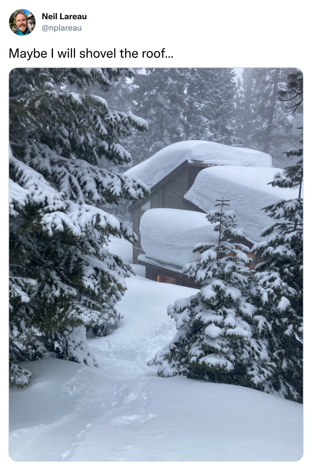 29 Unbelievable Pictures What 15 Feet Of Snow Looks Like In California ...