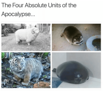 28 Times The Absolute Unit Meme Was Wonderfully Wholesome