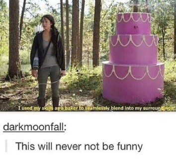 30 Funny Hunger Games Memes For Everyone Rewatching The Movies Newly ...