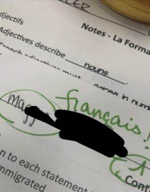 17 Students Leak Screenshots From Mean Teachers And Professors Who Made ...