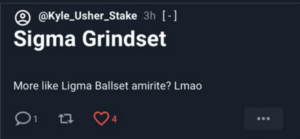 20 Sigma Grindset Memes Mocking "Hustle Culture" Dorks Like Like Andrew ...