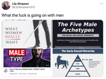 20 Sigma Grindset Memes Mocking "Hustle Culture" Dorks Like Like Andrew ...