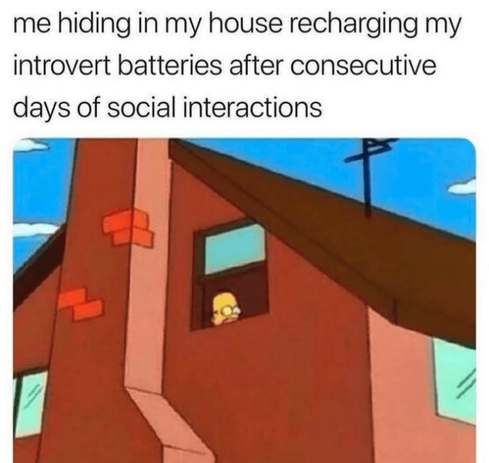 35 Funny Introvert Memes For All Your Anti-Socials Celebrating The Joy ...