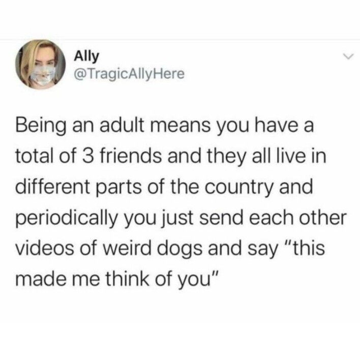 40 Handpicked Funny Memes That Everyone Is Sending Around Today (August ...