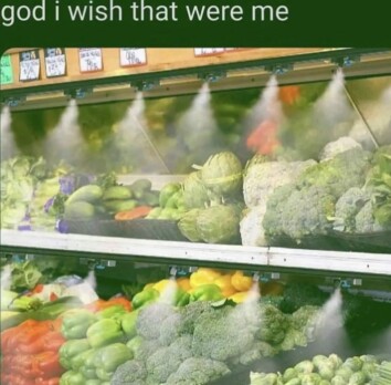 33 Food Memes You'll Want To Sop Up With A Biscuit