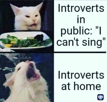 30 Funny Homebody Memes For Introverts Who Always Miss Their Couch