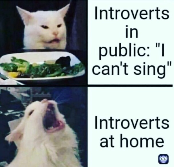 30 Funny Homebody Memes For Introverts Who Always Miss Their Couch