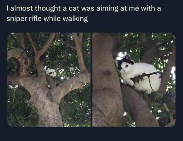 30 Funny Homebody Memes For Introverts Who Always Miss Their Couch