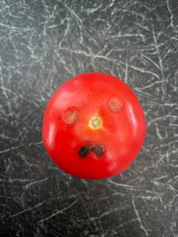 The "Things With Faces" Group Is For Sharing Examples Of Pareidolia ...