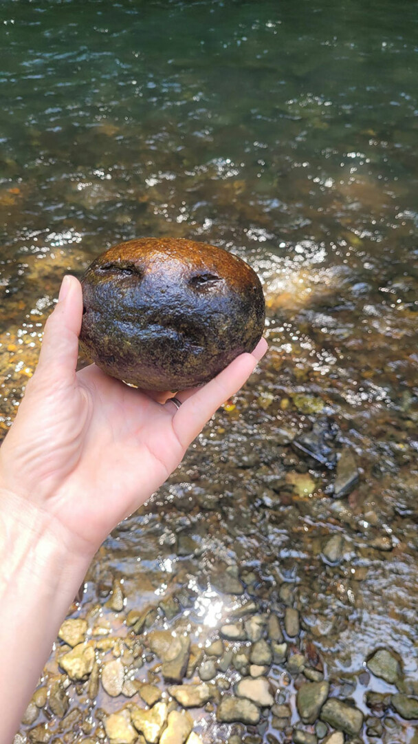 The "Things With Faces" Group Is For Sharing Examples Of Pareidolia ...