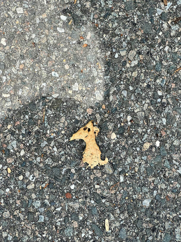 The "Things With Faces" Group Is For Sharing Examples Of Pareidolia ...