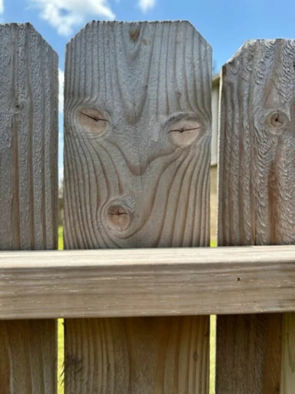 The "Things With Faces" Group Is For Sharing Examples Of Pareidolia ...