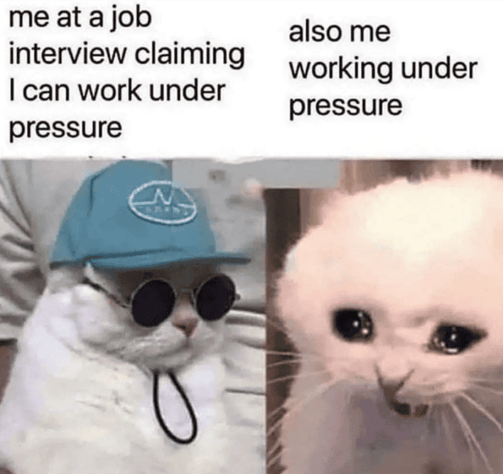 50+ Funny Job Interview Memes That Hit Too Close to Home For Job Seekers