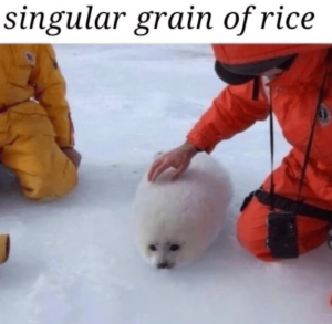 50 Funny Cooking Memes That'll Have Amateur Chefs in Stitches