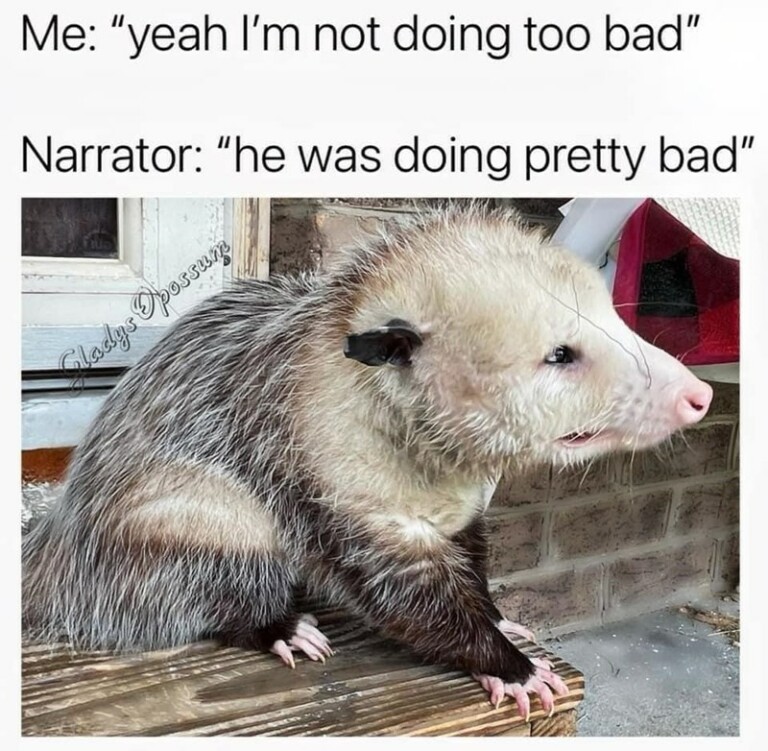 50 Funniest And Freshest Memes For Your Evening Scroll