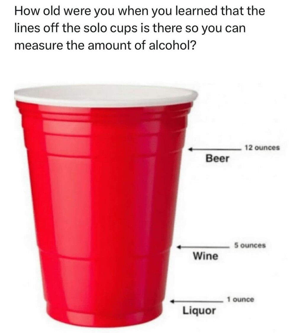 50 Funniest And Freshest Memes For Your Evening Scroll