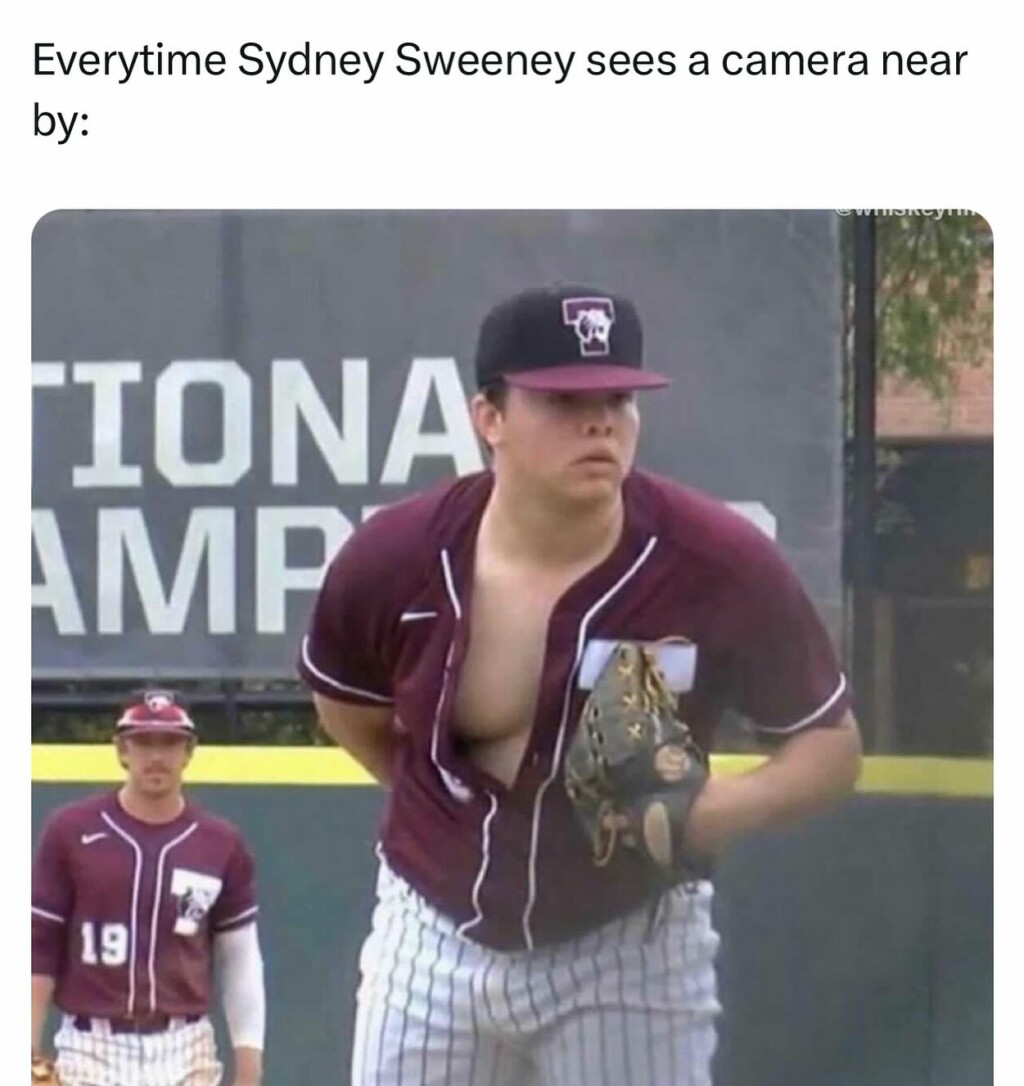 50 Funniest And Freshest Memes For Your Evening Scroll