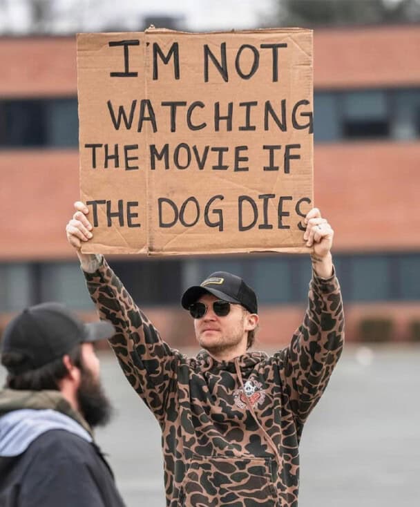 40 Funniest Dog Memes Of The Week Prove That Dogs Really Are Man's Best ...