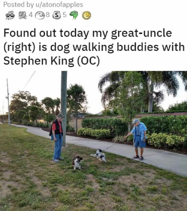 40 Funniest Dog Memes Of The Week Prove That Dogs Really Are Man's Best ...