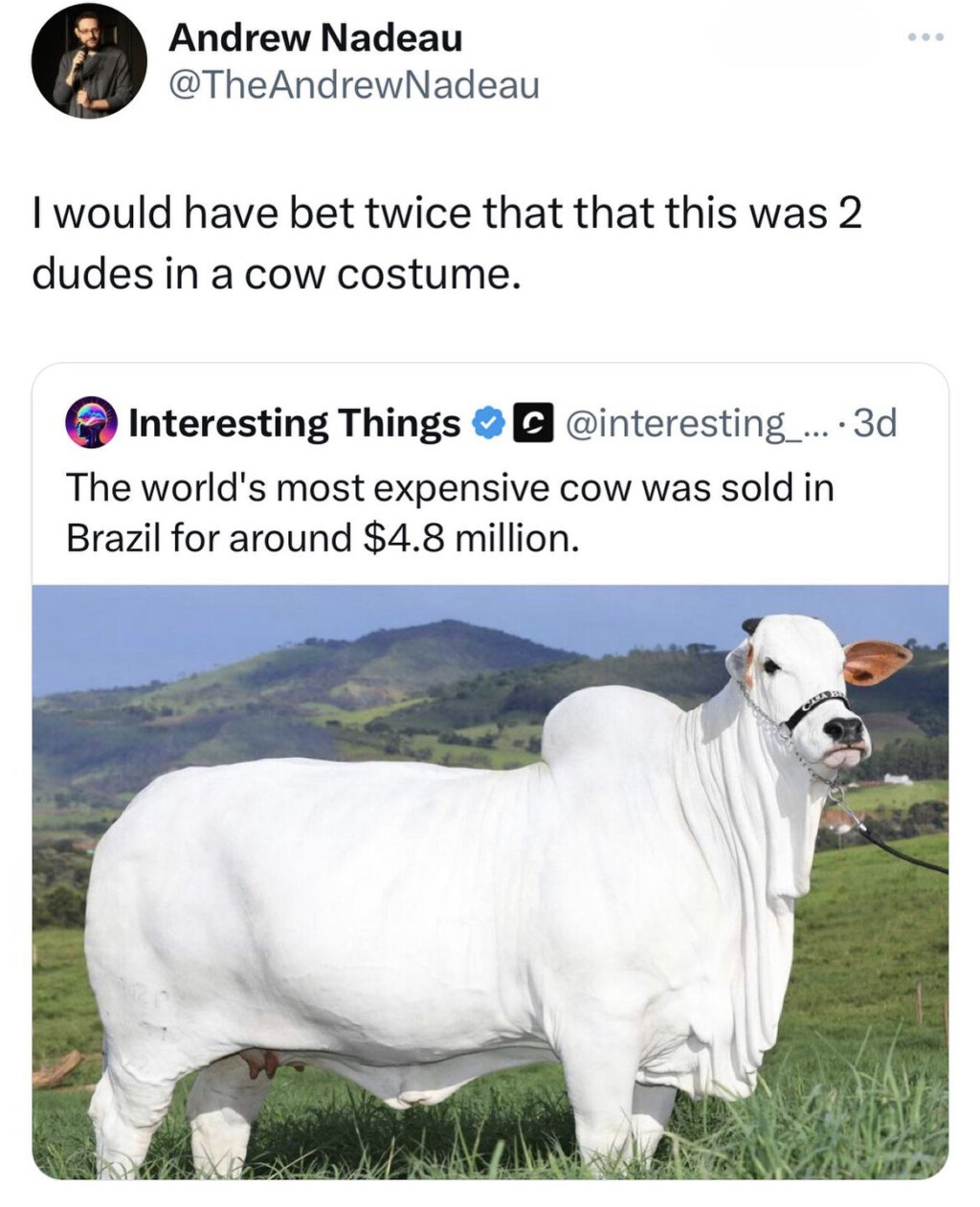 40 Fresh Memes Everyone Deserves To Laugh At Today (April 3, 2024)