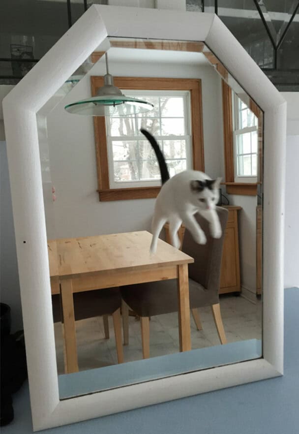 50 Times Trying To Sell A Mirror Turned Into Comedy Gold