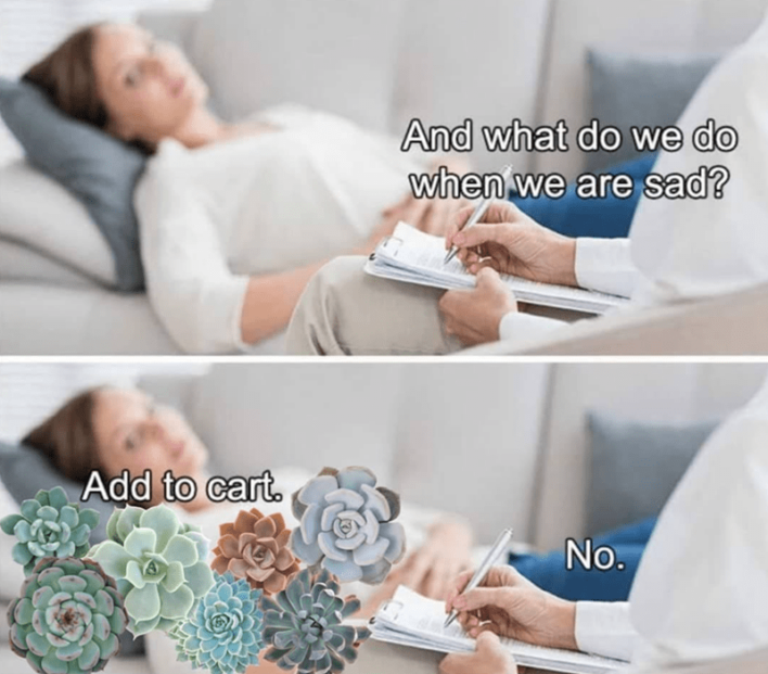 40 Funny Memes For People Who Love Their Plants -- Even If They Keep ...