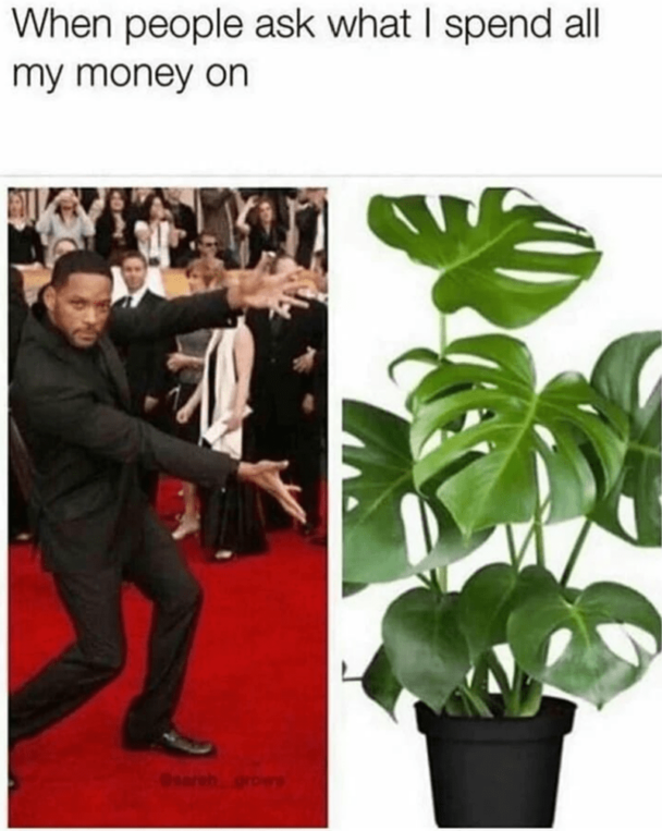 40 Funny Memes For People Who Love Their Plants -- Even If They Keep ...